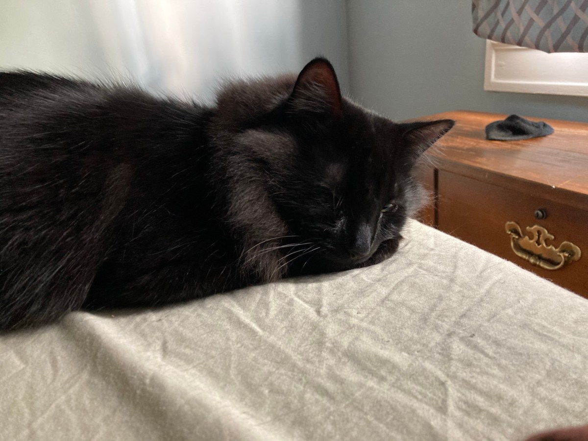 Poem: Sleep – Storyscribe